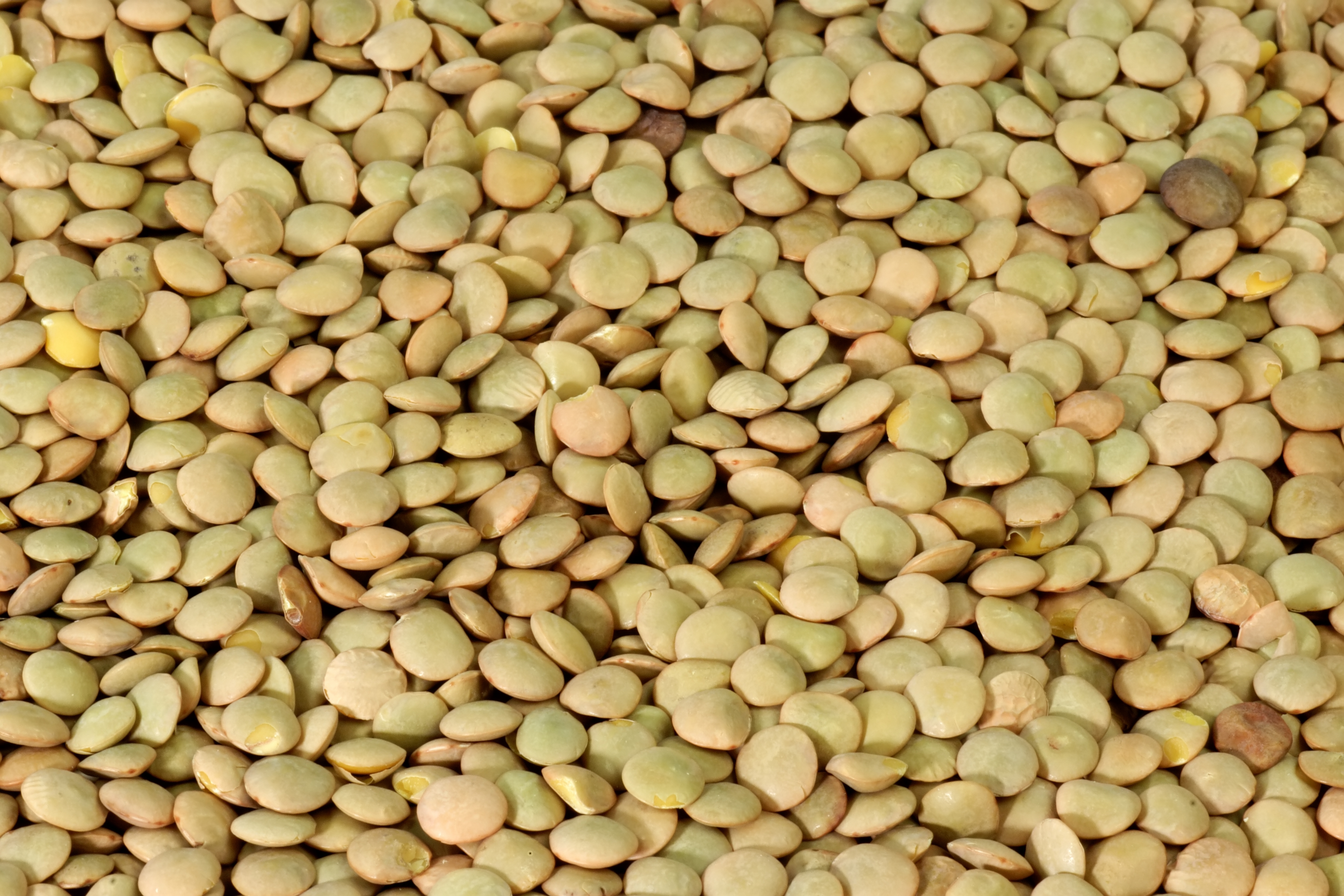 What can we learn from a wild little specialty crop market rally (lentils)?